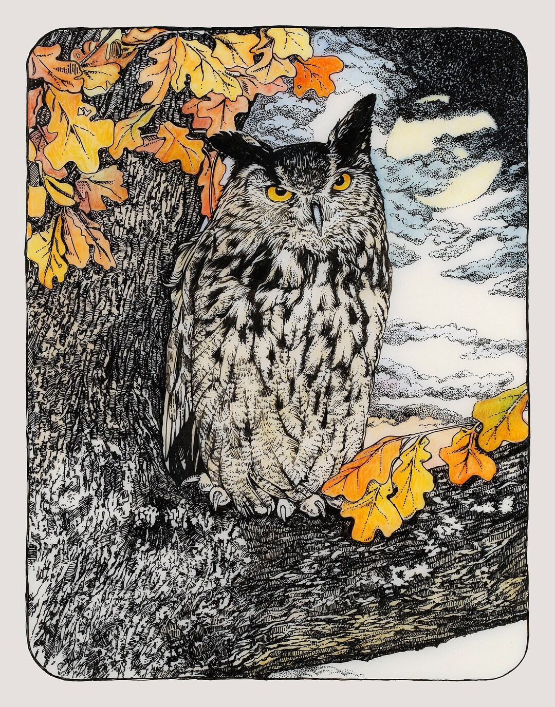 Halloween Owl, 5.5"x7 Art, Owl Pen and Ink,owl Watercolor,halloween Art ...