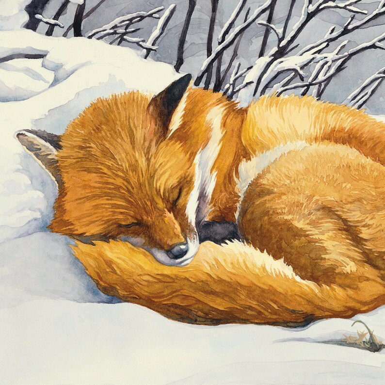 Fox, Watercolor, Snow Landscape, Fox Wall Art, Winter Landscape ...