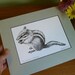 Woodland Animals, Art, Chipmunk, Pen and Ink, Illustration, Nature Art ...