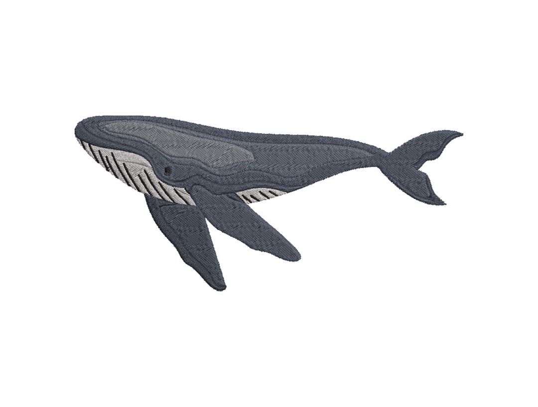 Whale Embroidery Design Files - Sea Animals Design Files - Ocean ...