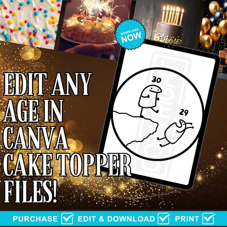 EDITABLE Meme Birthday Cake Topper, Hilarious Birthday, Funny Cake ...