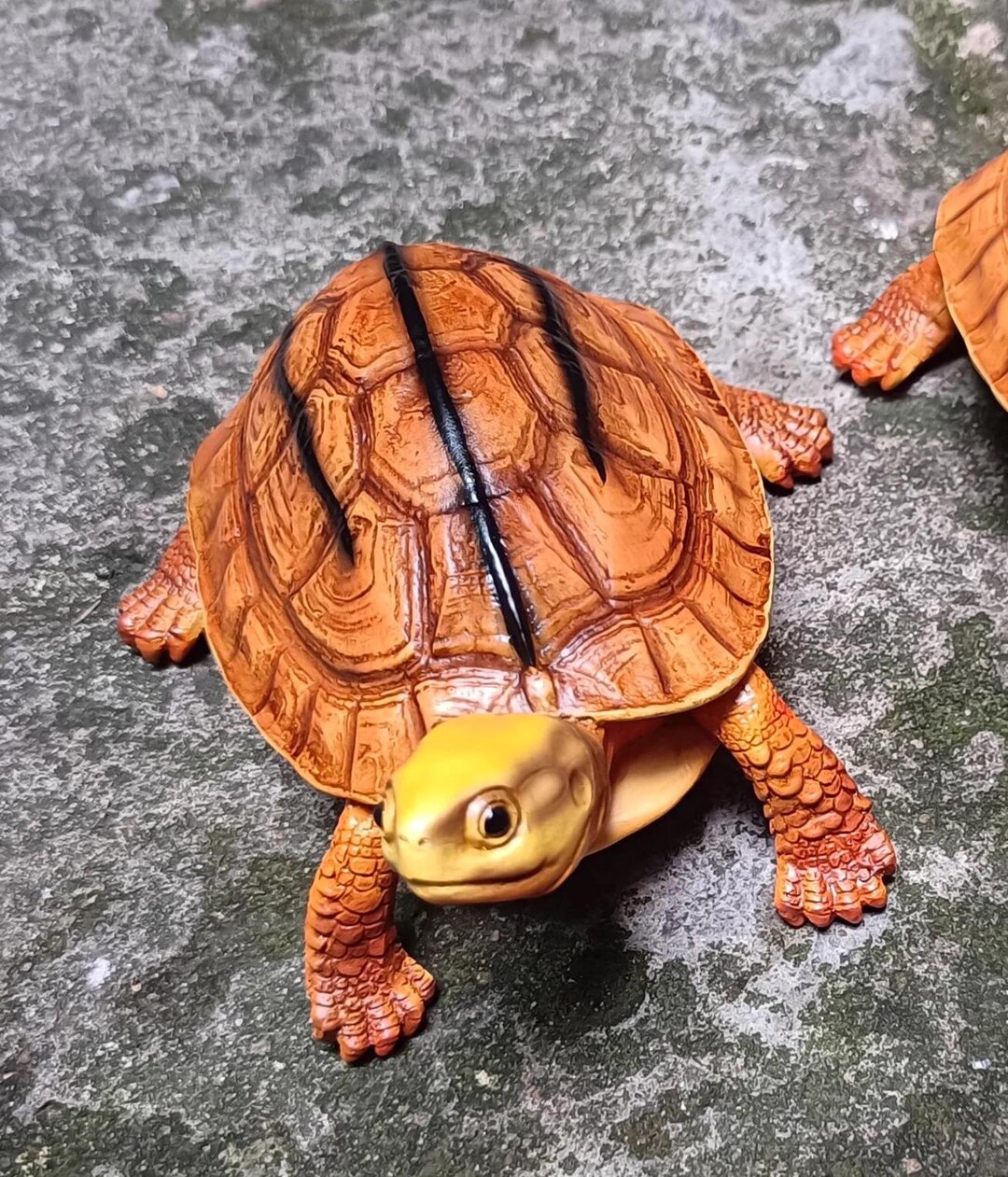 Chinese Three-banded Box Turtle Tortoise Resin Replica Model Figurine ...