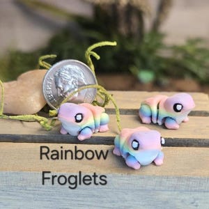 Nano Frogs Toads 3D Printed Articulated Fidget Sensory Toy Desk ...