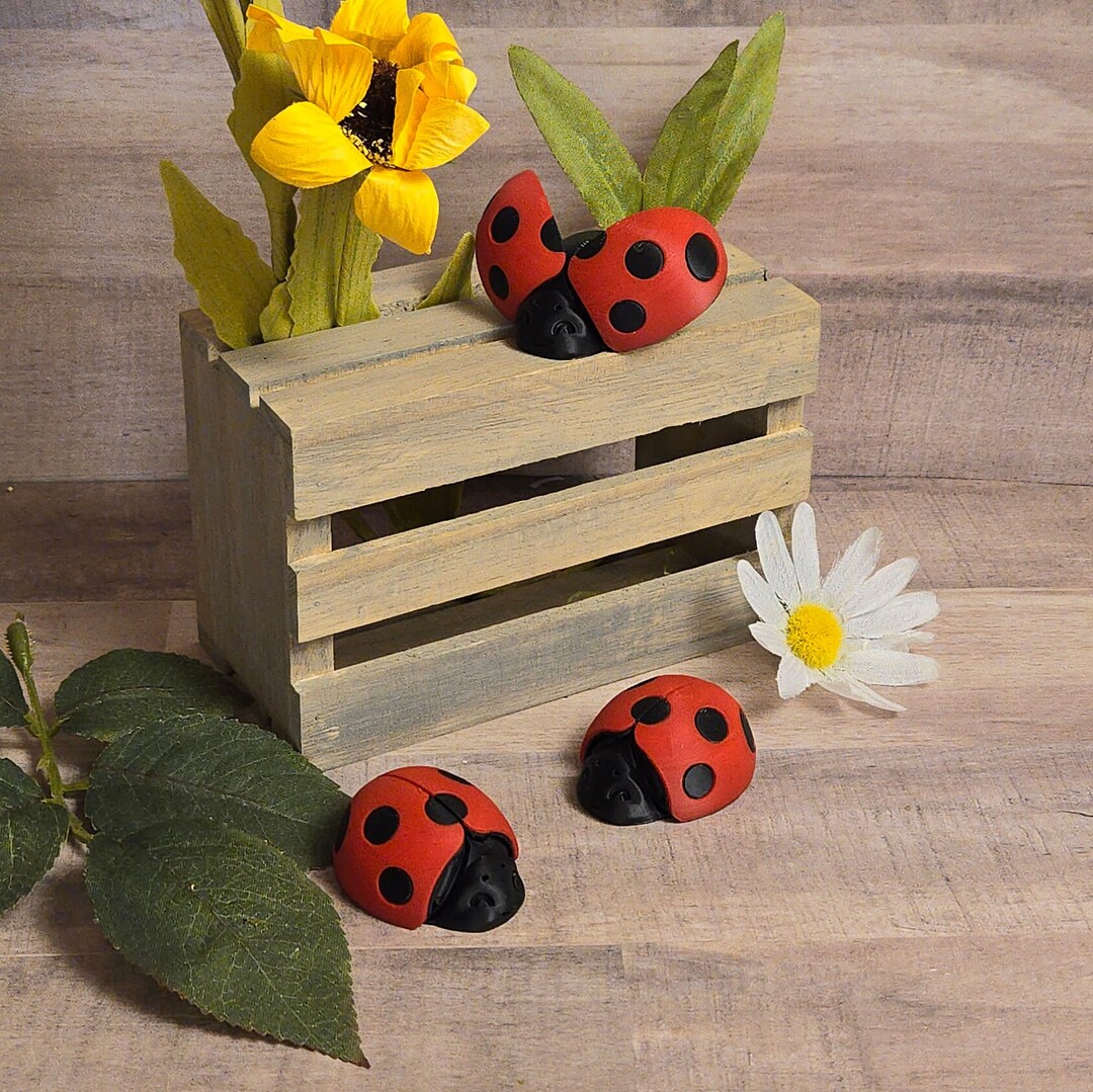 Ladybug Mini Cute 3D Printed Desk Office Decoration Articulated Teacher ...