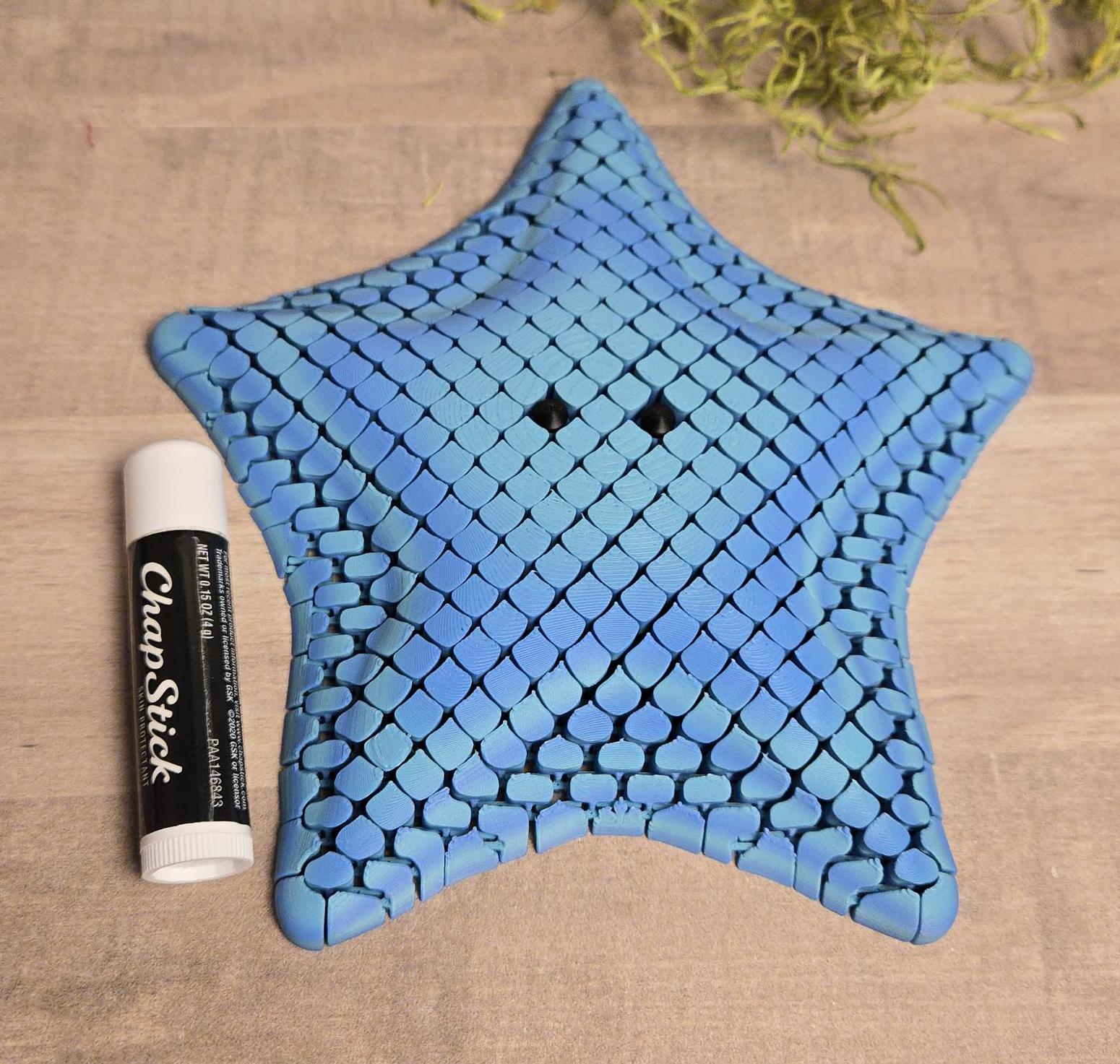 Sea Star Sensory Fidget Toy Starfish Desk Decoration 3D Printed - Etsy