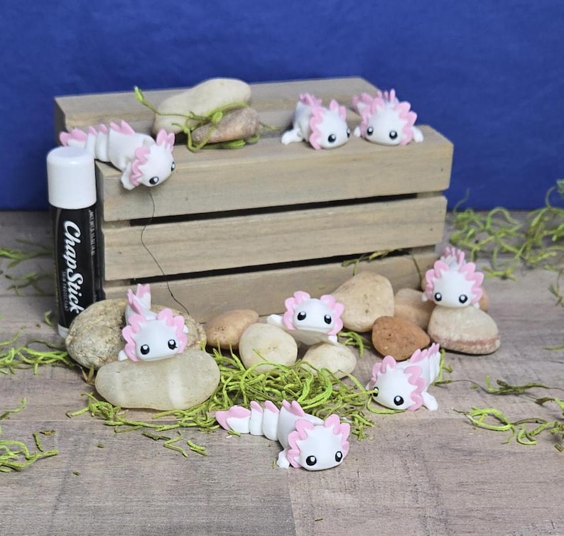 Chunky Axolotl Micro 3D Printed Articulated Sensory Desk Decoration Toy ...