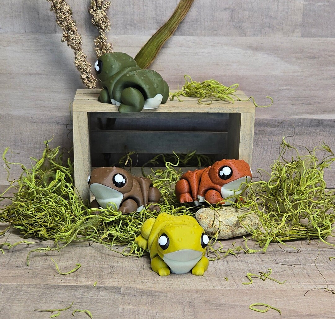 Chunky Toad Magnet 3D Printed Fidget Sensory Toy Choose Your Own Desk ...