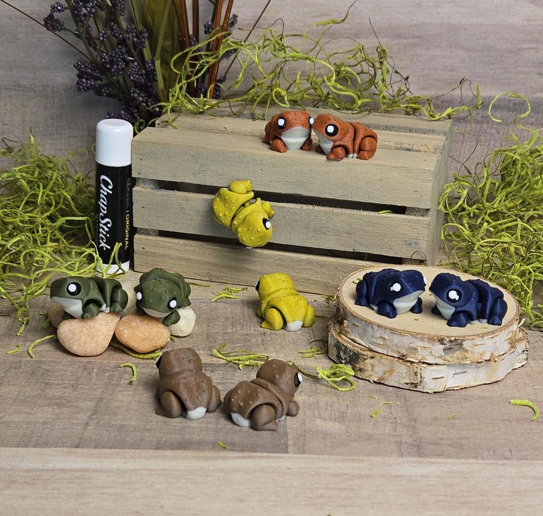 Chunky Toad Micro 3D Printed Fidget Sensory Toy Choose Your Own Desk ...