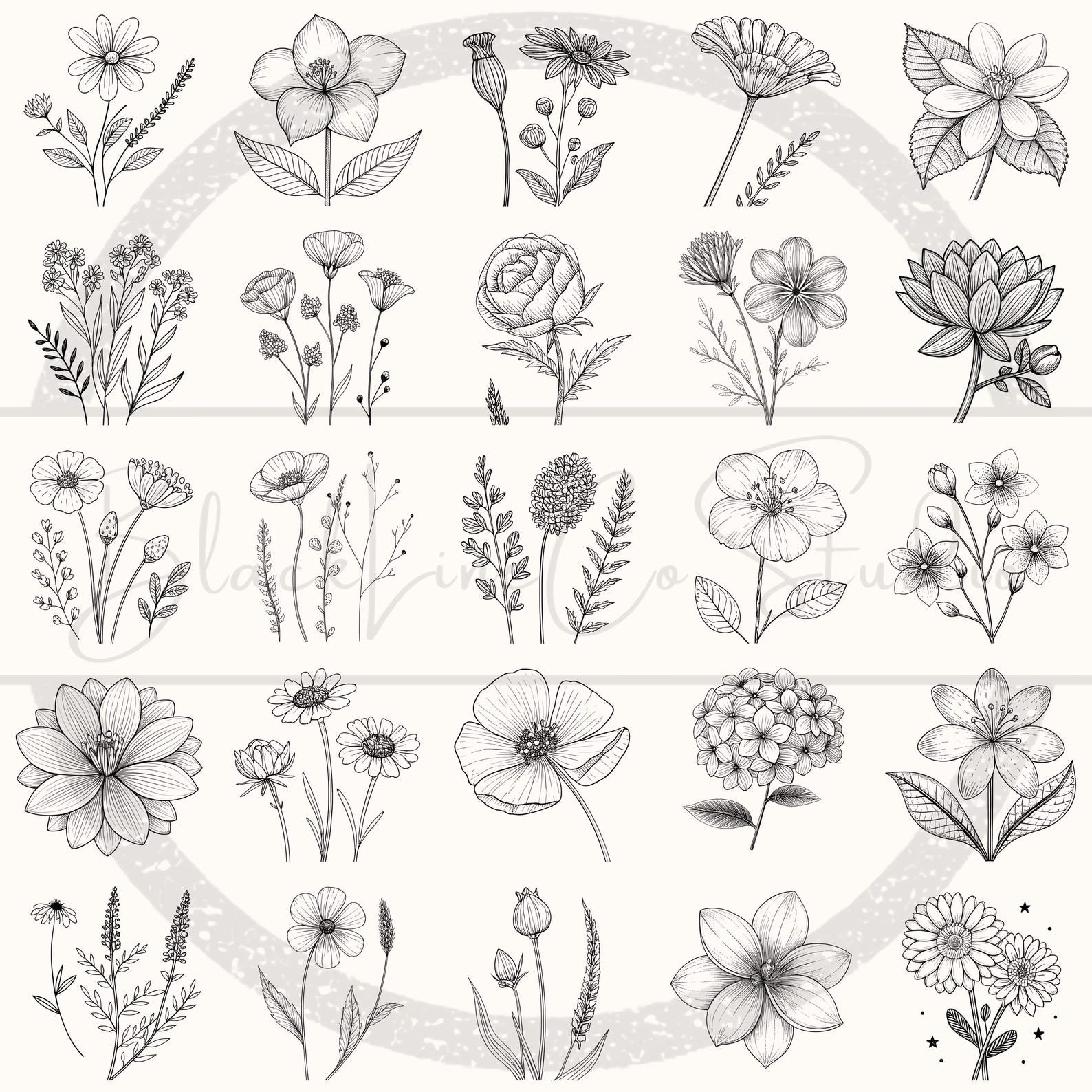 Botanical Flowers Doodle Clipart | 100 Hand-drawn PNG Icons | Black ...