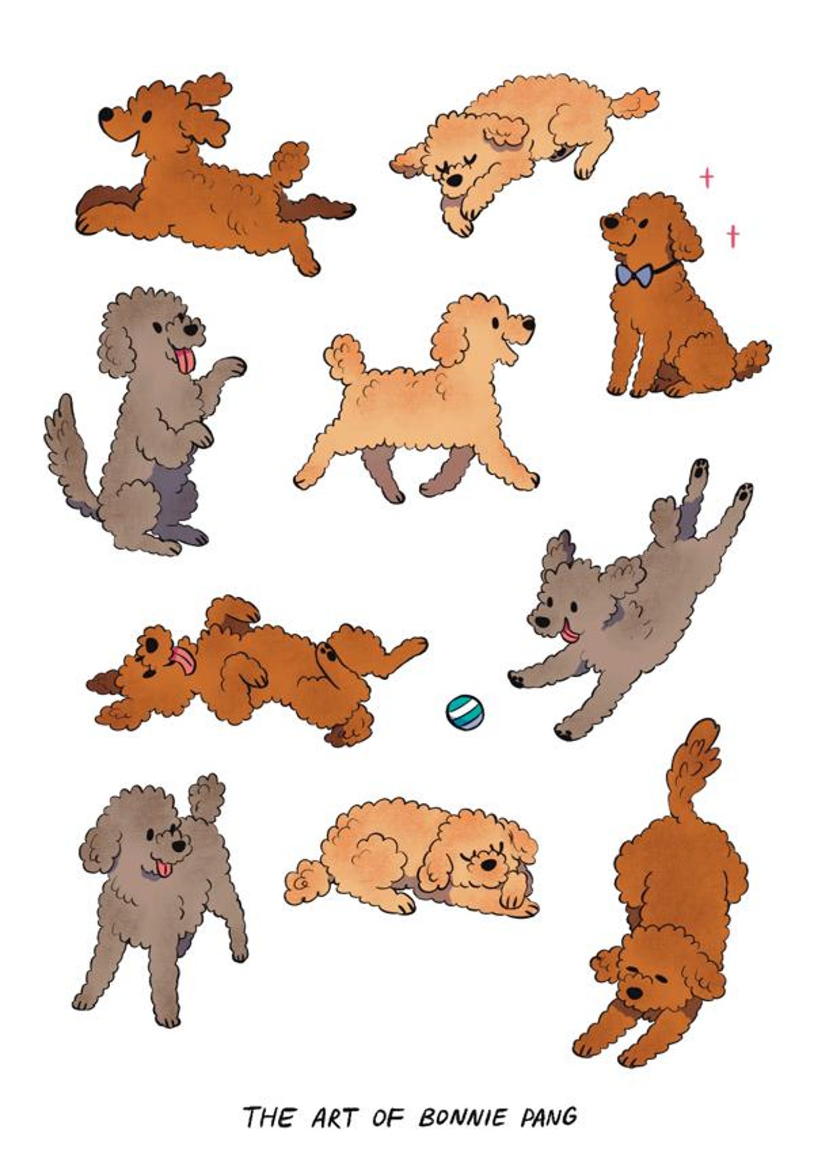 Poodle Postcard A6 | Cute Fluffy Dog Gray Brown Cream Playing ...