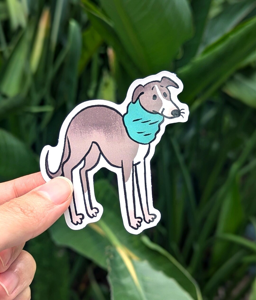 Italian Greyhound Sticker | Cute Whippet Dog Neck Warmer Keeping Warm ...