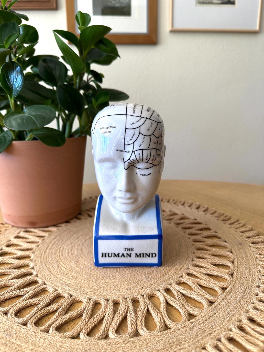 Ceramic Head Statue Phrenology Head Bust Scientific Statue Medical Bust ...
