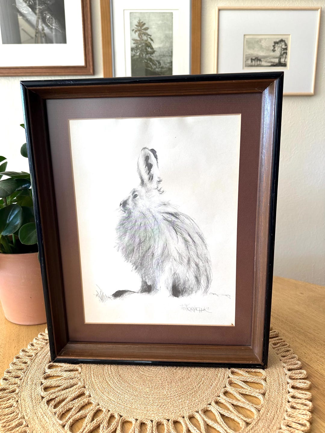 Rabbit Artwork Rabbit Pencil Sketch Art Rabbit Drawing Framed Wall Art ...