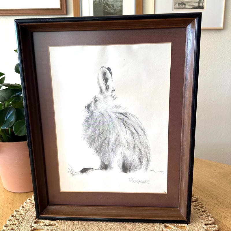 Rabbit Drawing - Etsy