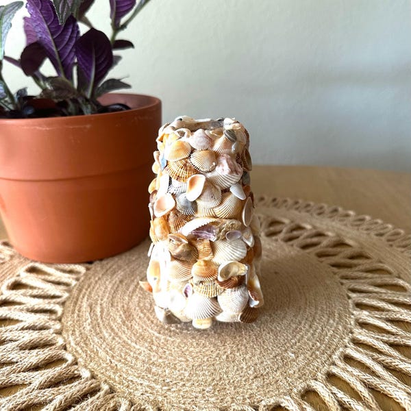 Seashell Vase - Etsy