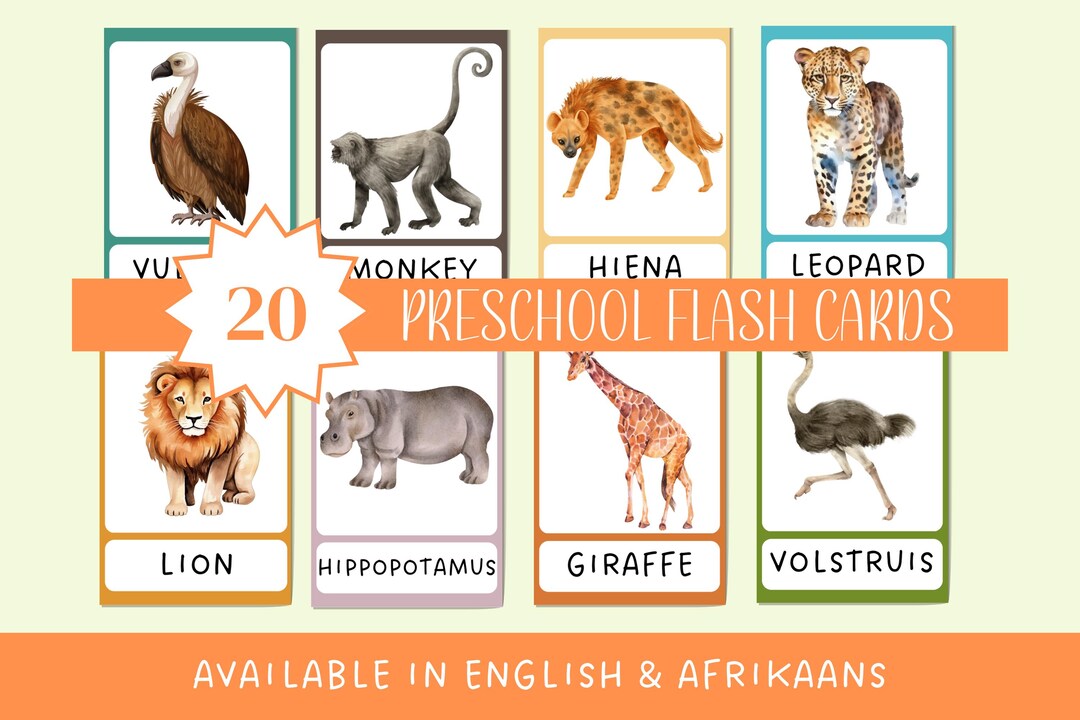 20 Safari Animal Flashcards, Available in English & Afrikaans, 20 ...