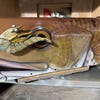 Painted Mailboxes (tarpon) - Etsy