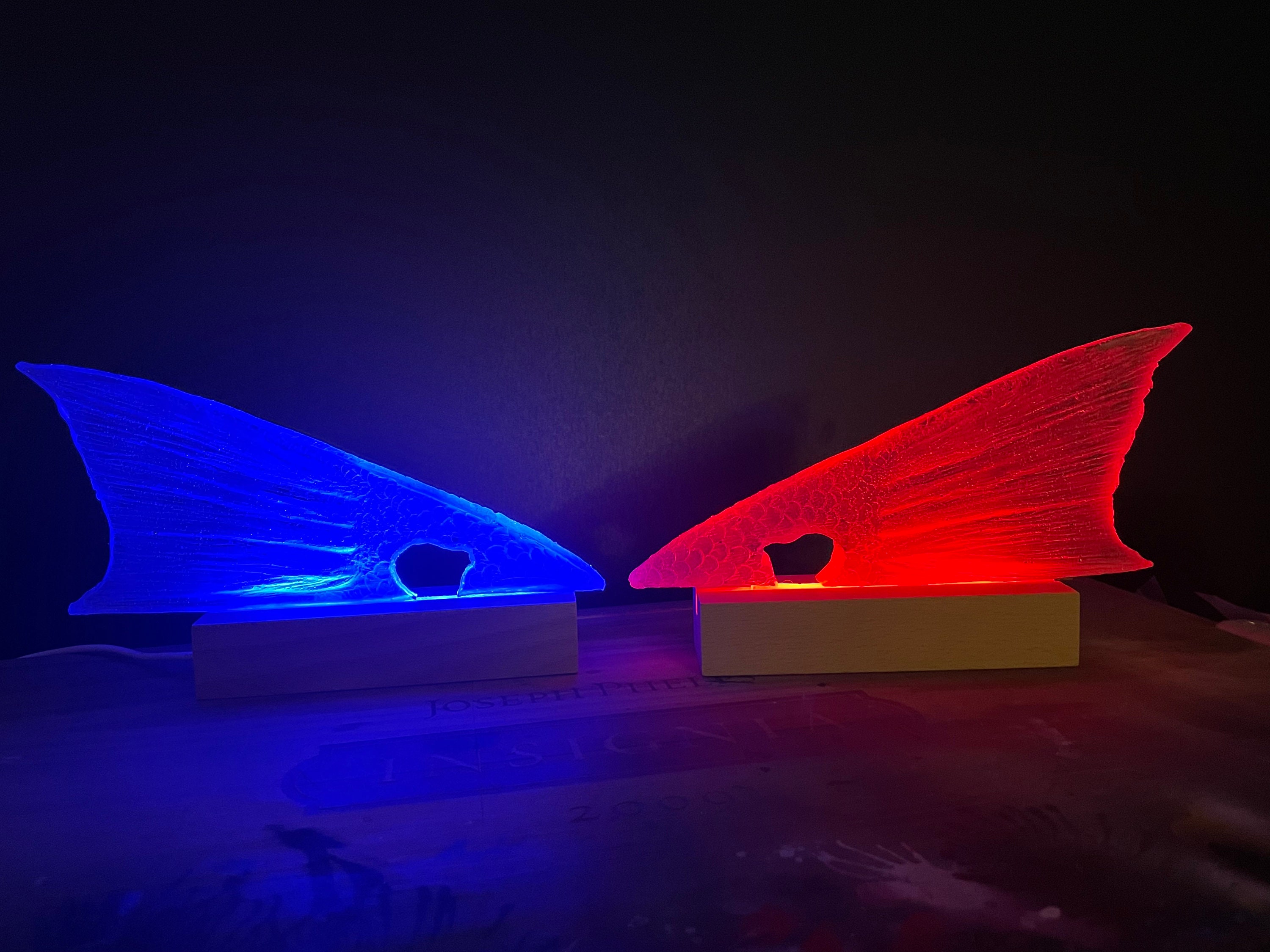 Tailing Redfish LED Light With Multiple Lighting Options - Etsy