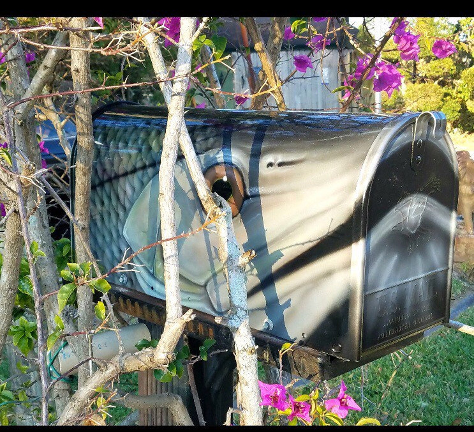 Painted Mailboxes tarpon - Etsy