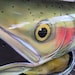 Rainbow Trout Mailbox - Etsy
