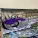Painted Mailboxes (tarpon) - Etsy