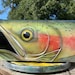 Rainbow Trout Mailbox - Etsy