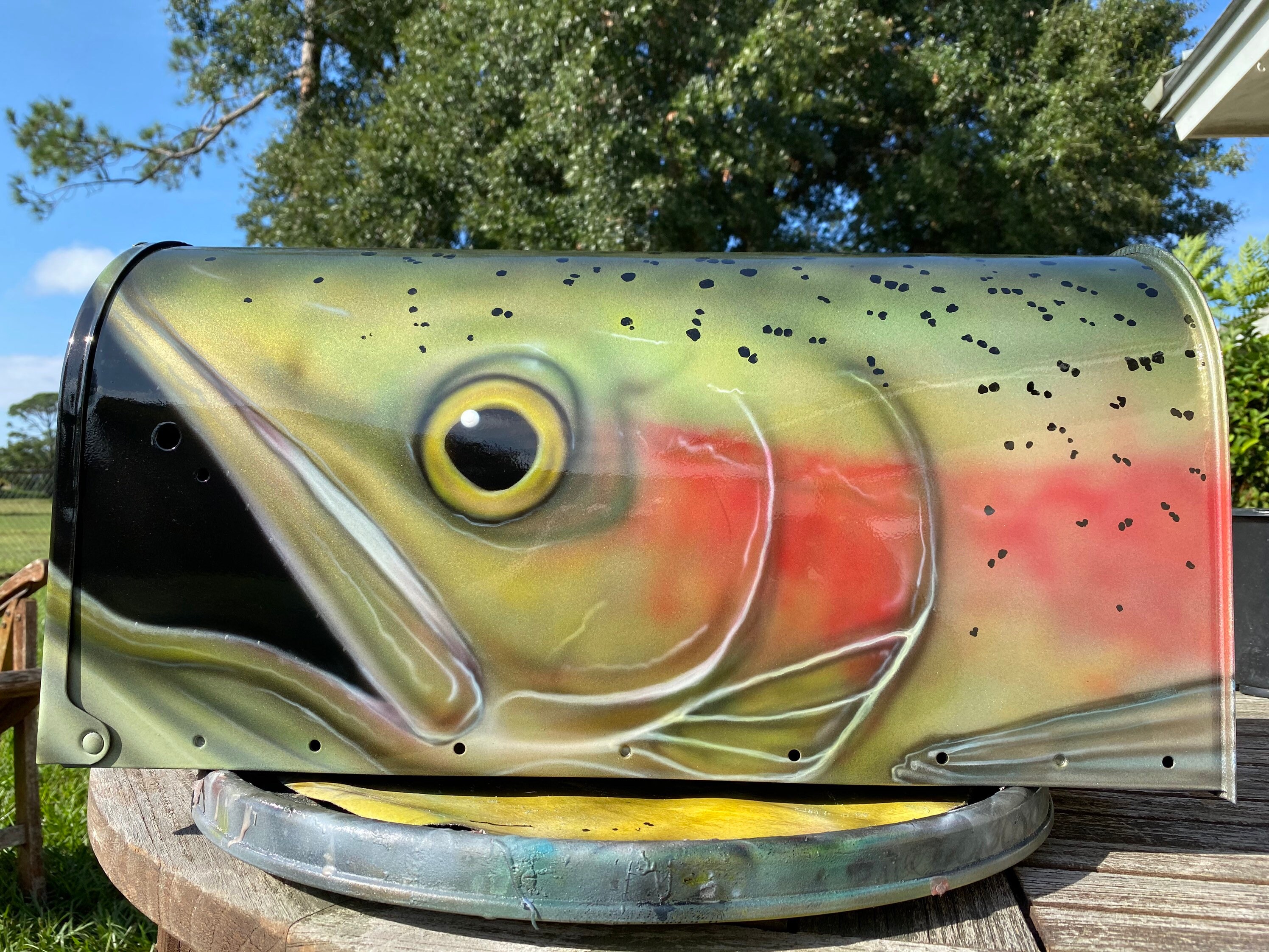 Rainbow Trout Mailbox - Etsy