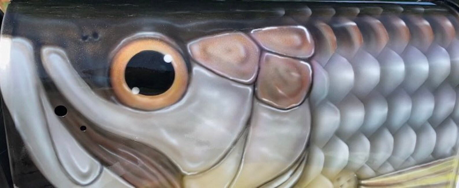 Painted Mailboxes tarpon - Etsy