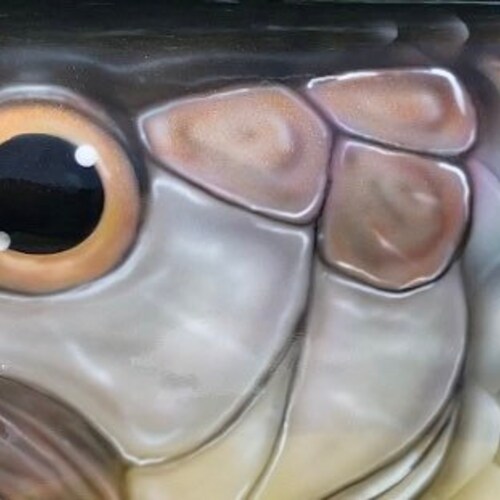 Painted Mailboxes tarpon | Etsy