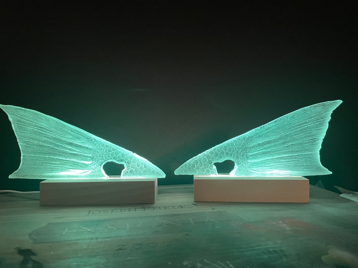 Tailing Redfish LED Light With Multiple Lighting Options - Etsy