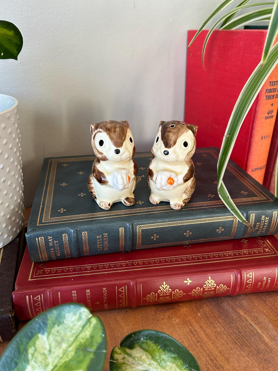 Vintage 1979 Enesco Anthropomorphic Squirrels With Daisies Salt and ...