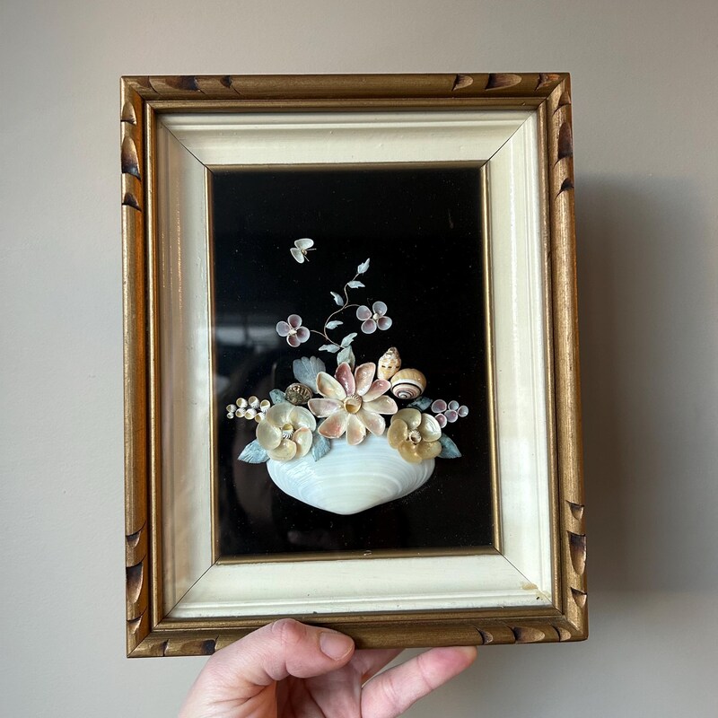 Seashell Shadow Box - Etsy