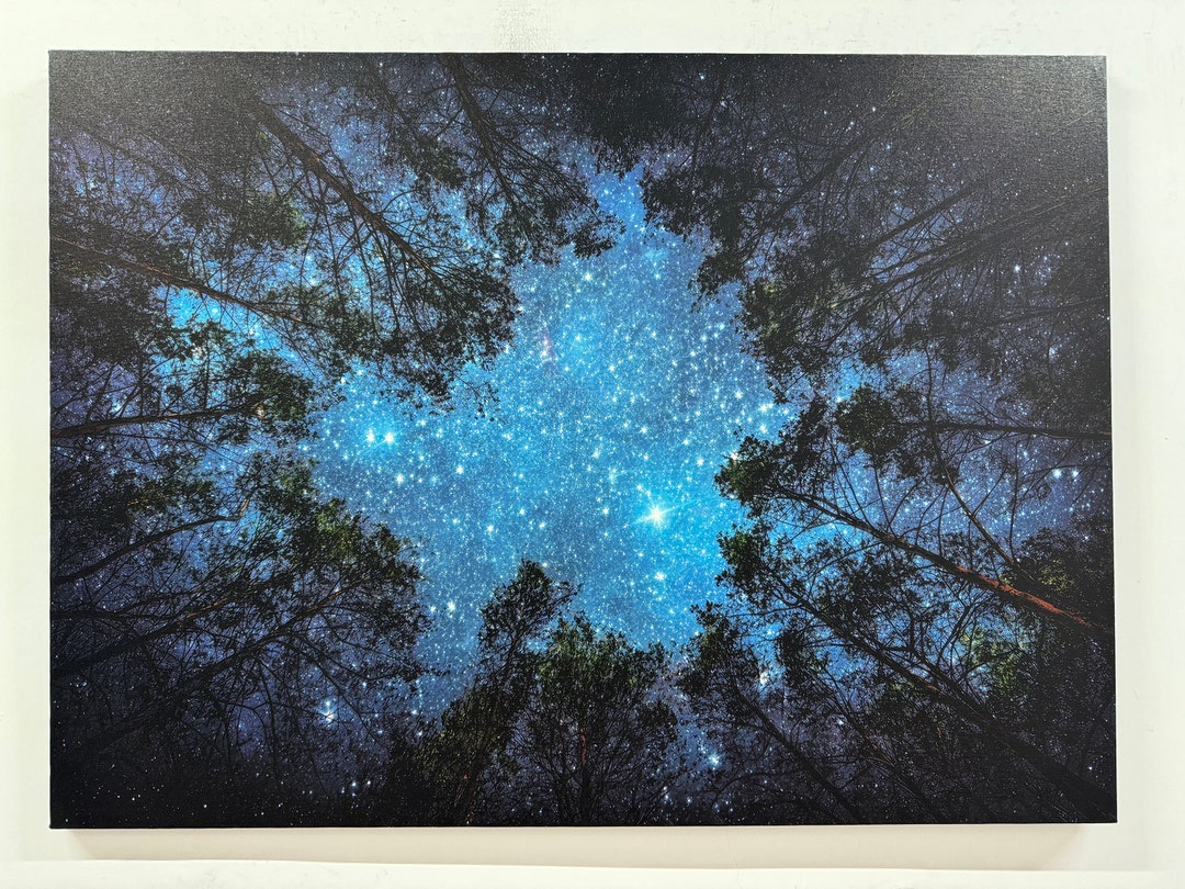 Beautiful Starry Sky, Night Sky Wall Art, Living Room Decor, Night View ...