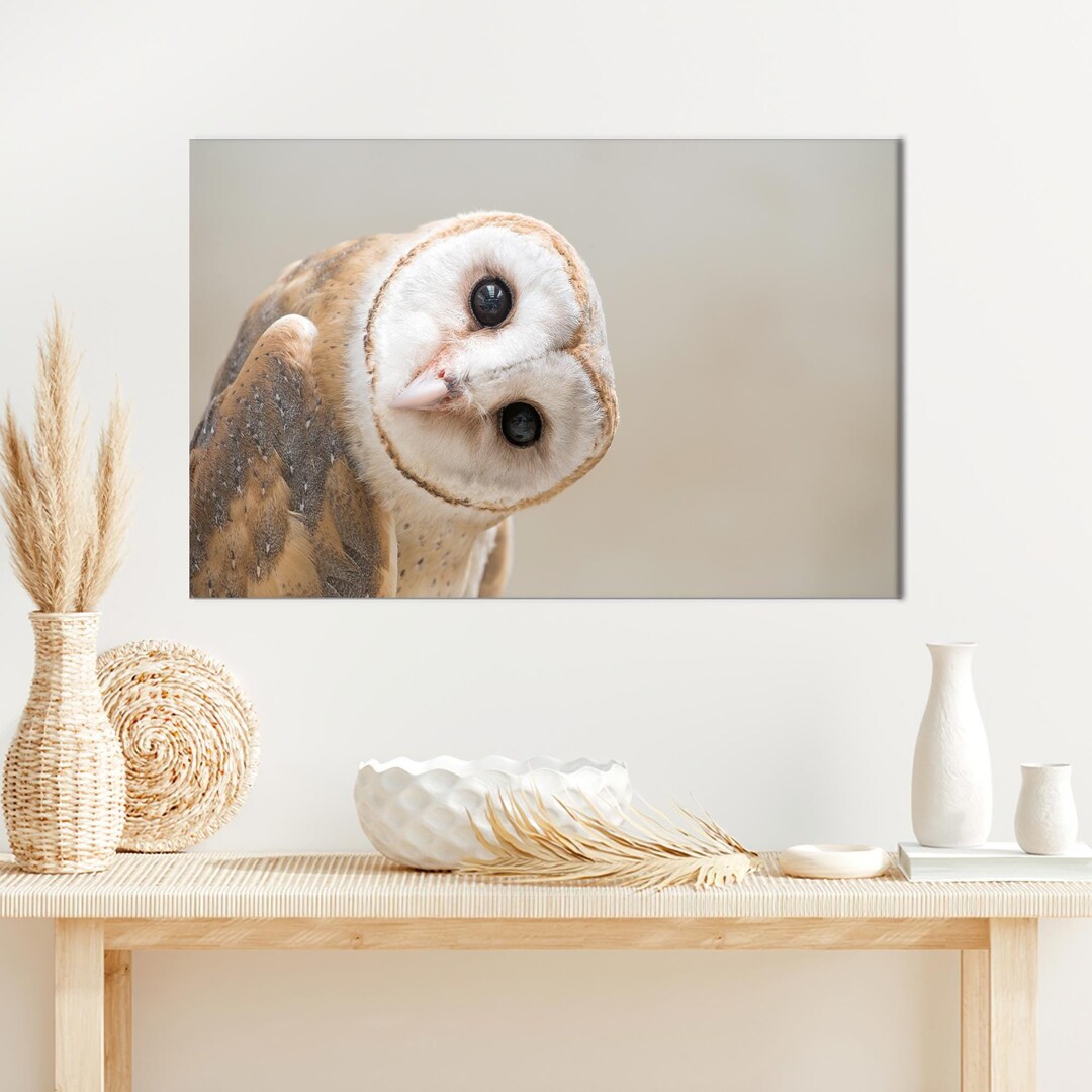 Owl Photo Art, Modern Wall Decor, Loft Art Decor, Contemporary, Owl ...