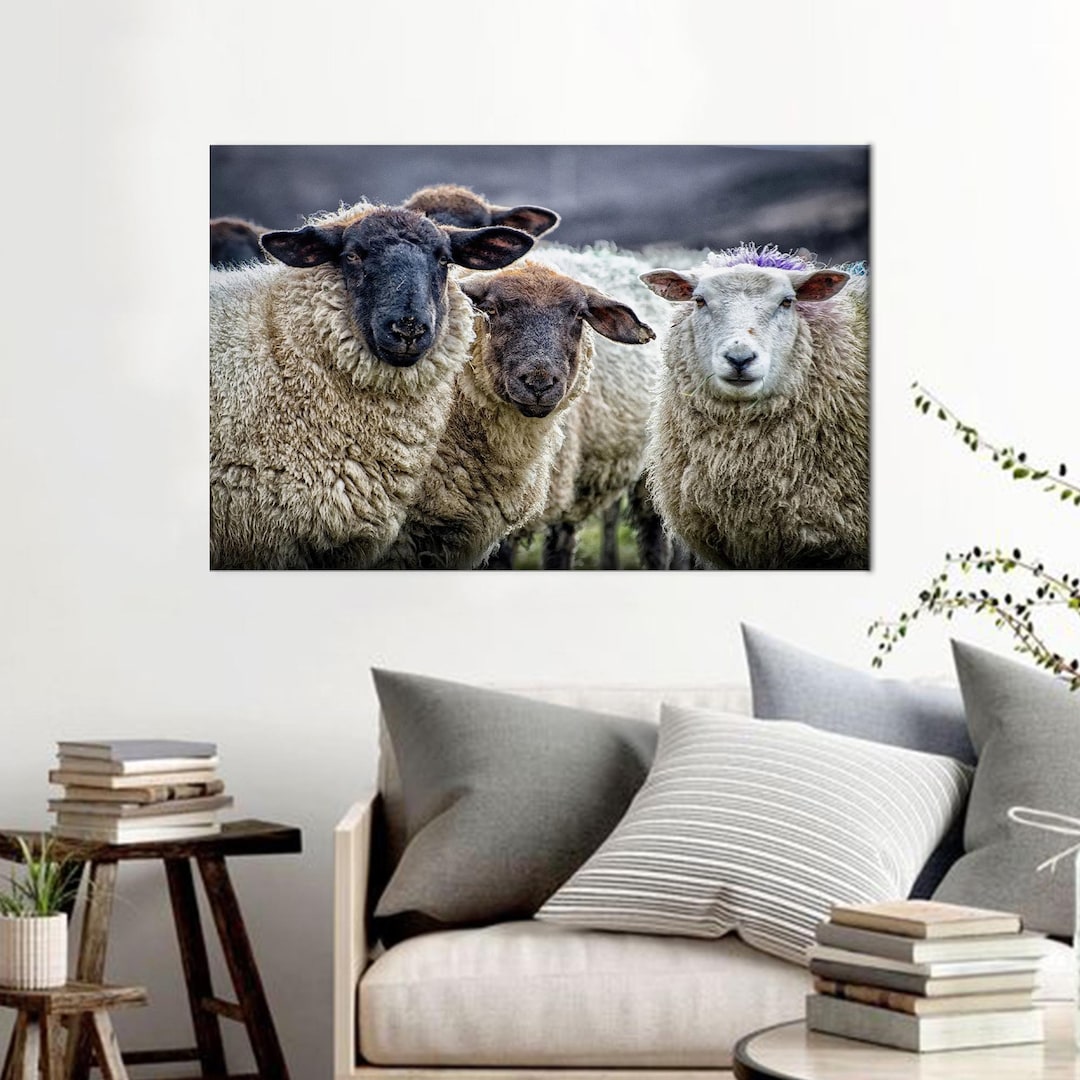 Sheeps Wall Art, Farmhouse Decor, Farm Canvas Art, Domestic Animal, Framed Canvas Art, Home ...