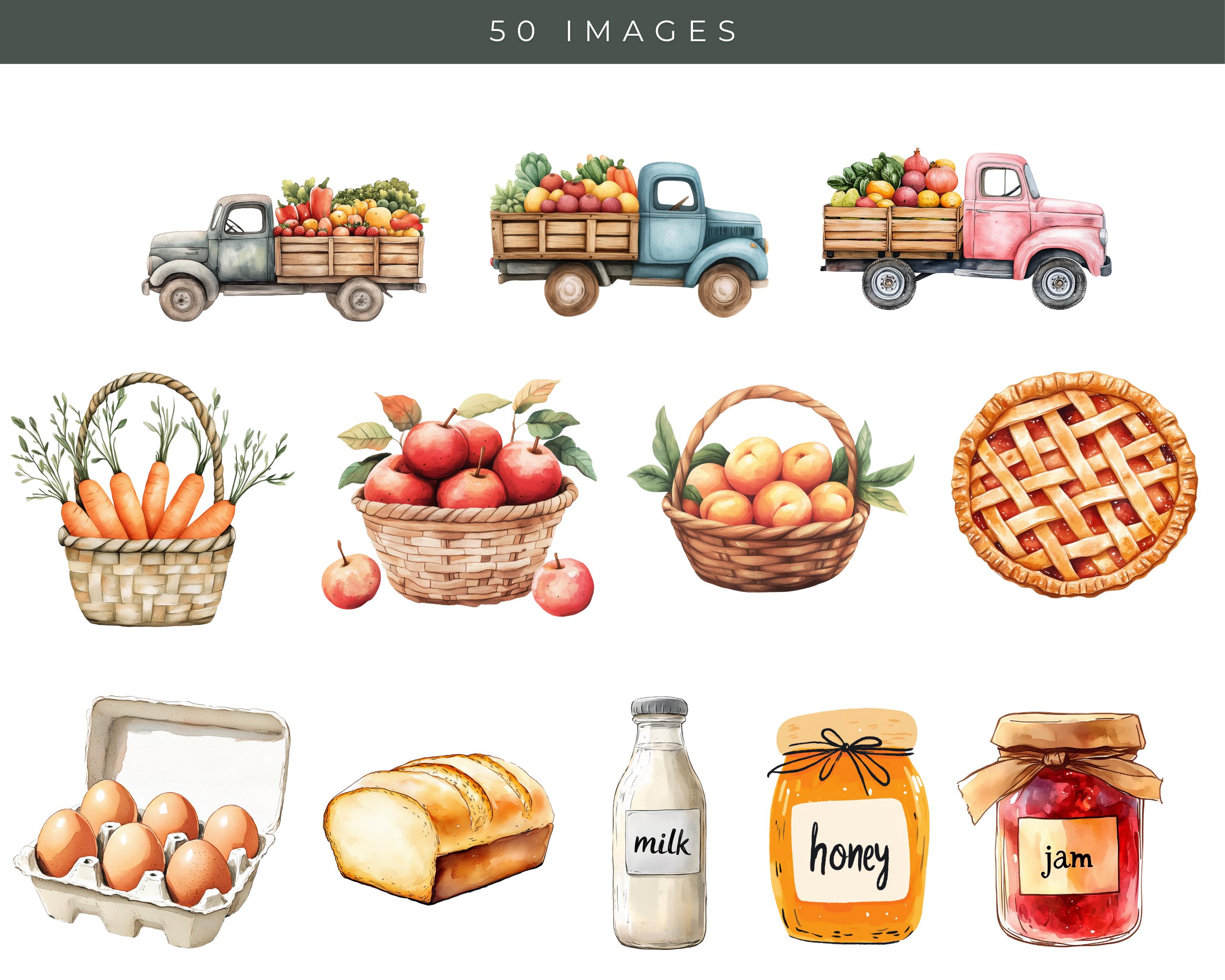 Watercolor Farmers Market Clipart: Fruit, Vegetables, Flowers (PNG) - Etsy