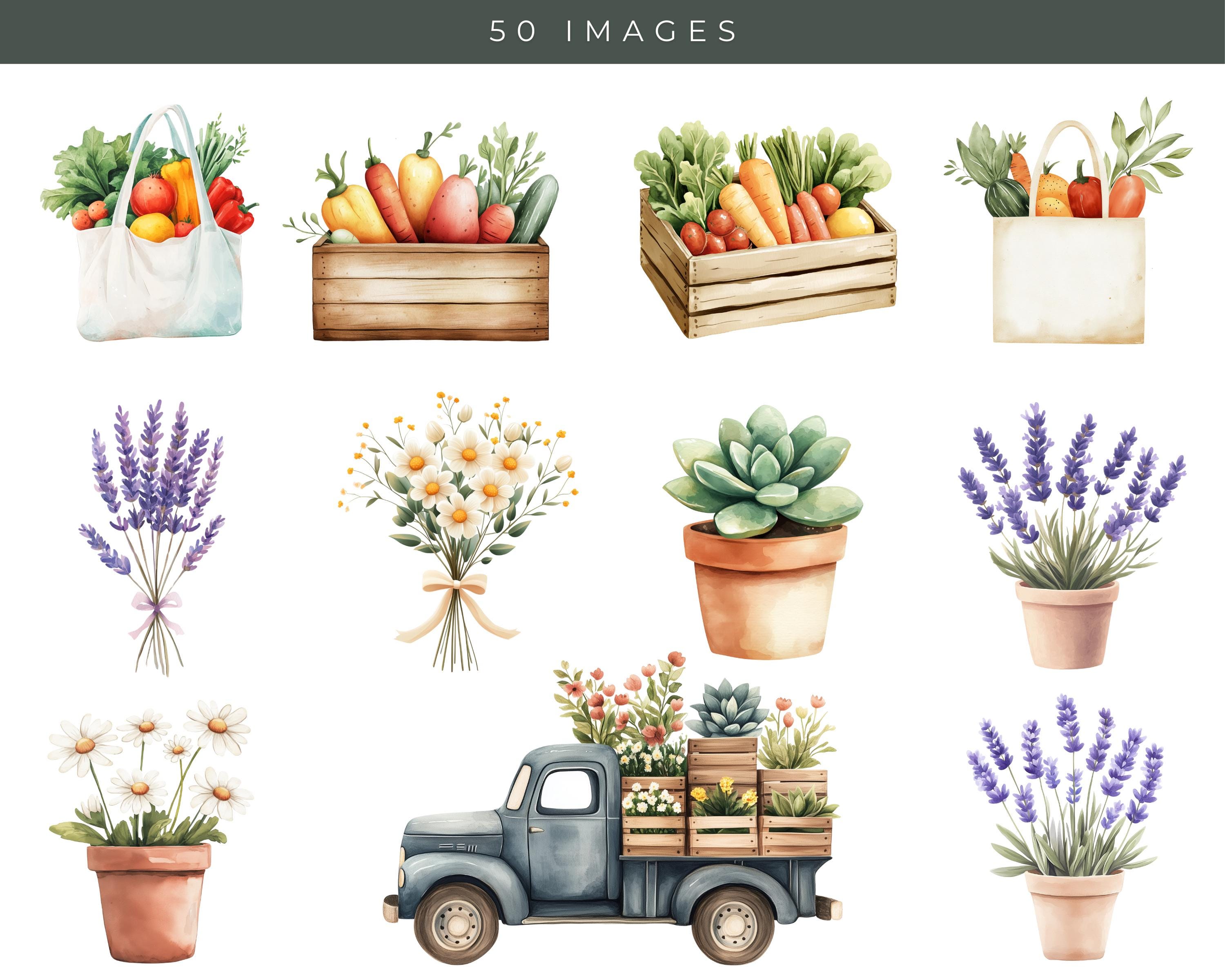 Watercolor Farmers Market Clipart: Fruit, Vegetables, Flowers (PNG) - Etsy