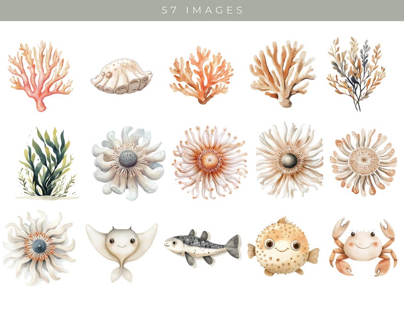 Watercolor Under the Sea Animal Clipart, Sealife Clipart, Mermaid ...
