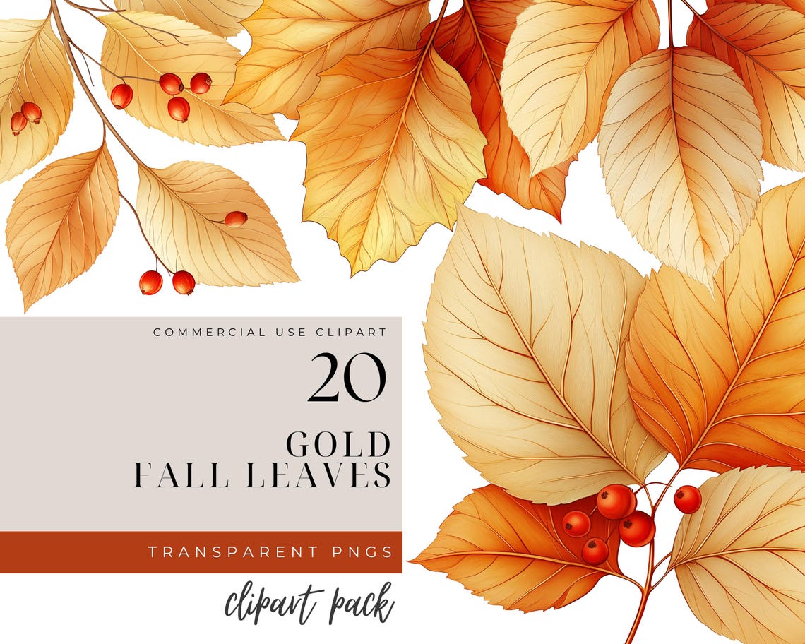 Watercolor Fall Leaves Clipart, Autumn Leaves Clipart, Fall Leaf ...