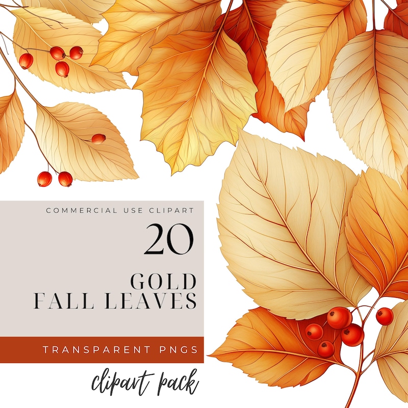 Fall Leaves Clipart - Etsy