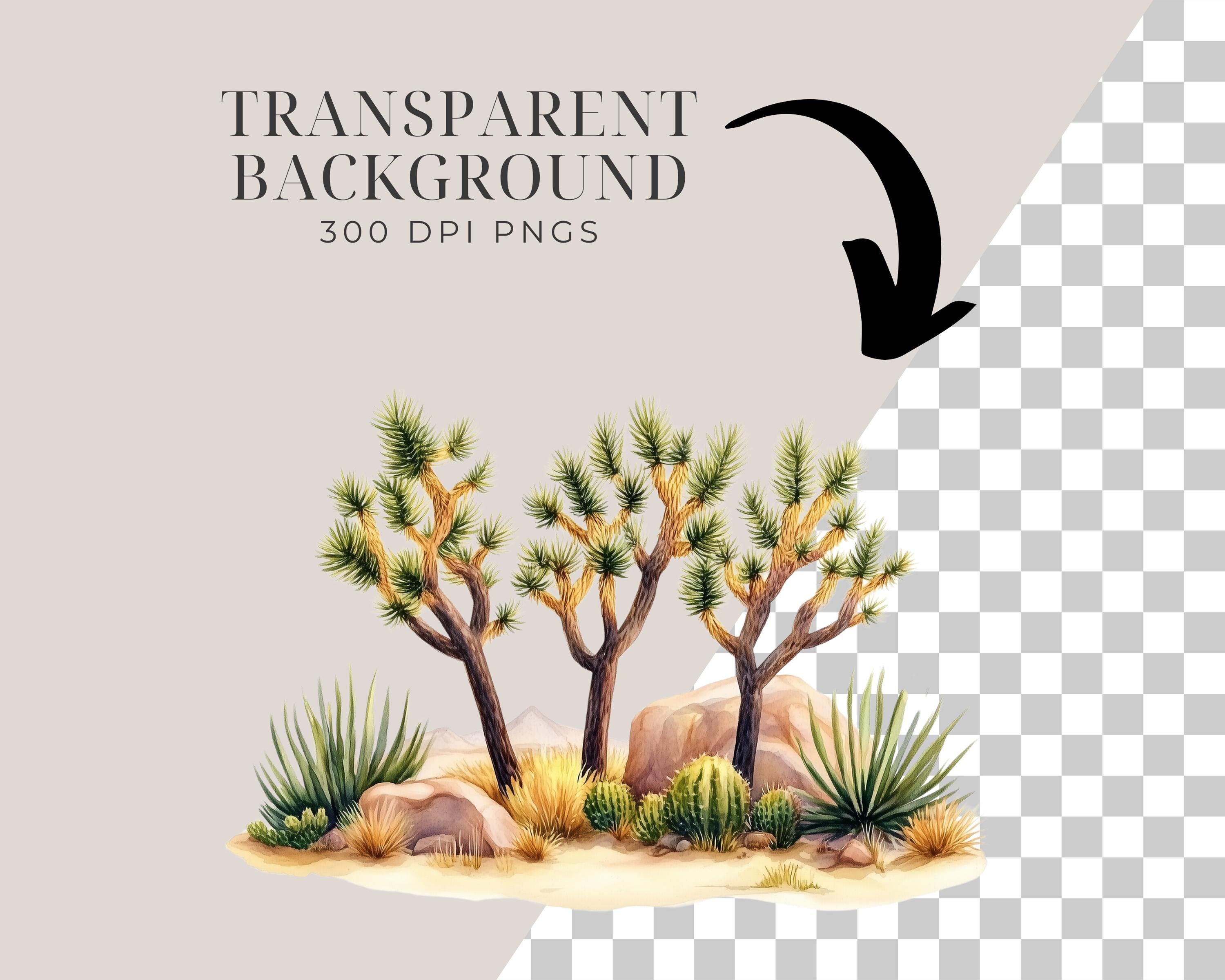 Watercolor Joshua Tree Clipart, Watercolor Palm Desert Clipart ...