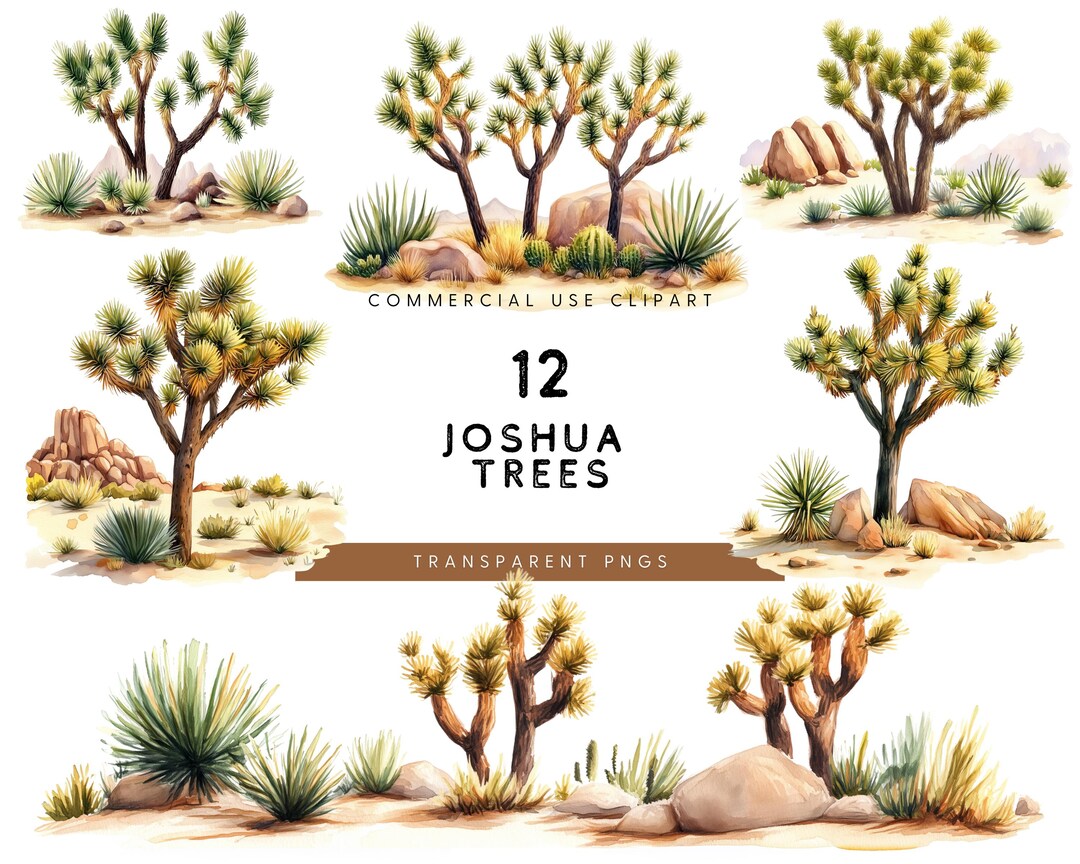 Watercolor Joshua Tree Clipart, Watercolor Palm Desert Clipart ...