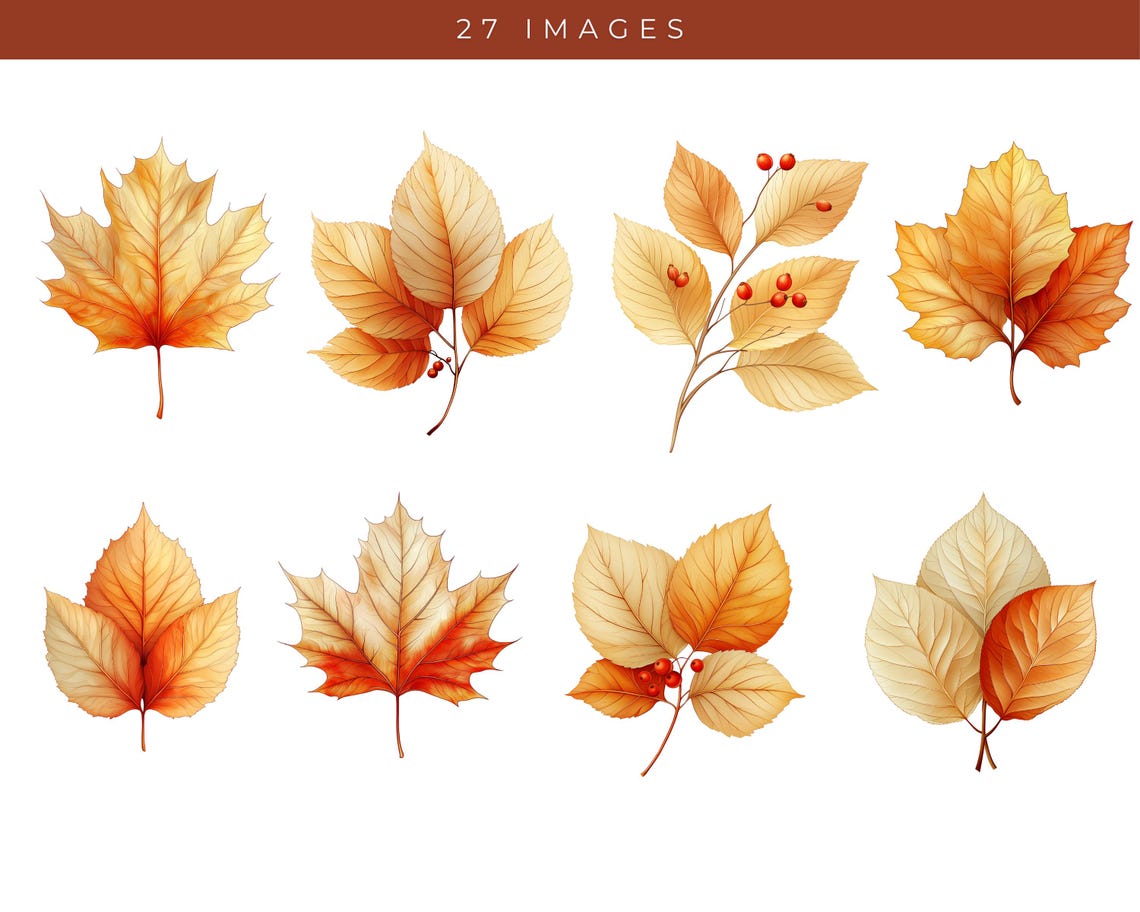 Watercolor Fall Leaves Clipart, Autumn Leaves Clipart, Fall Leaf ...