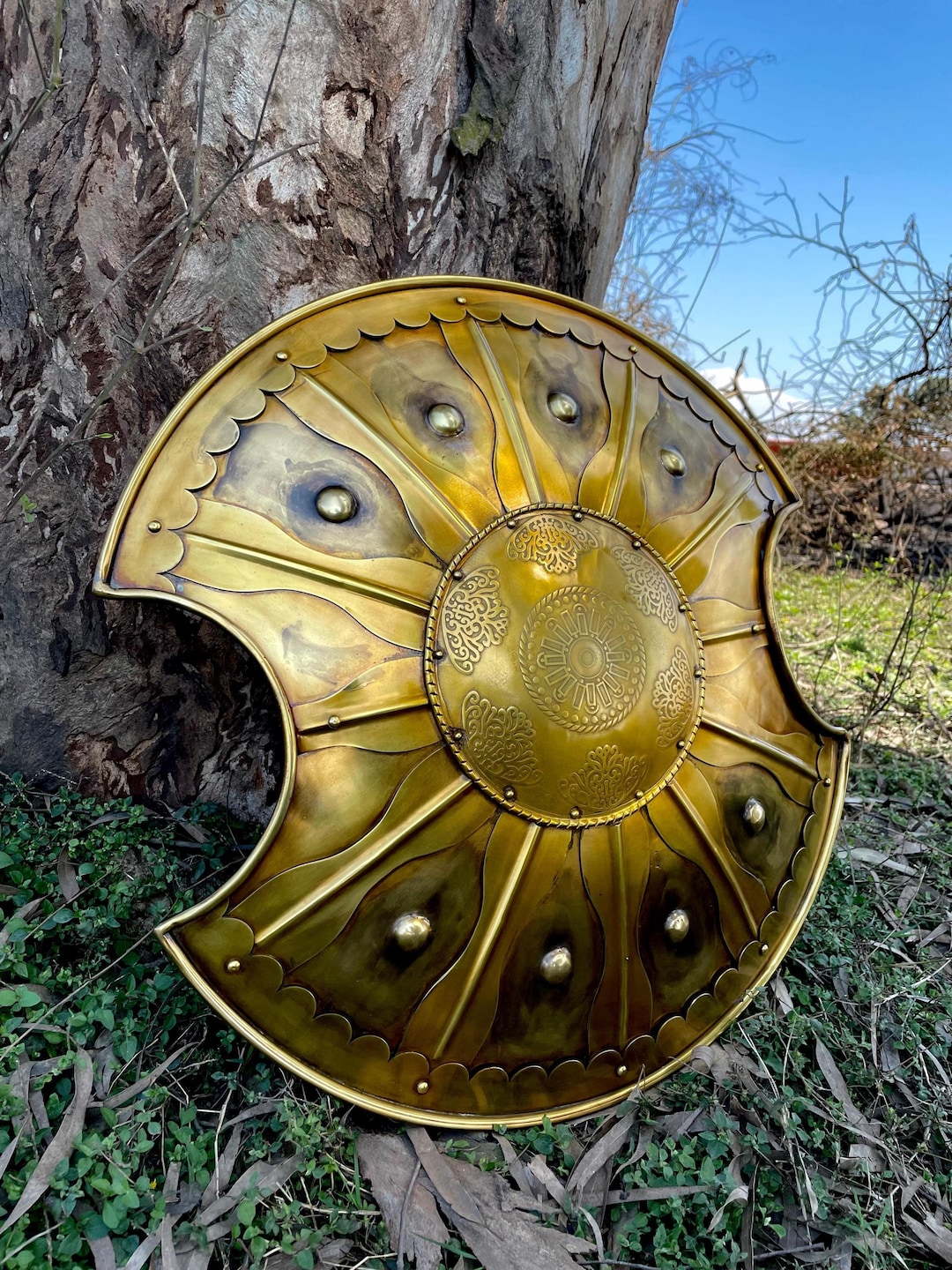 Medieval Troy Trojan Shield, Hand Carved Battle Round Shield, Ancient ...