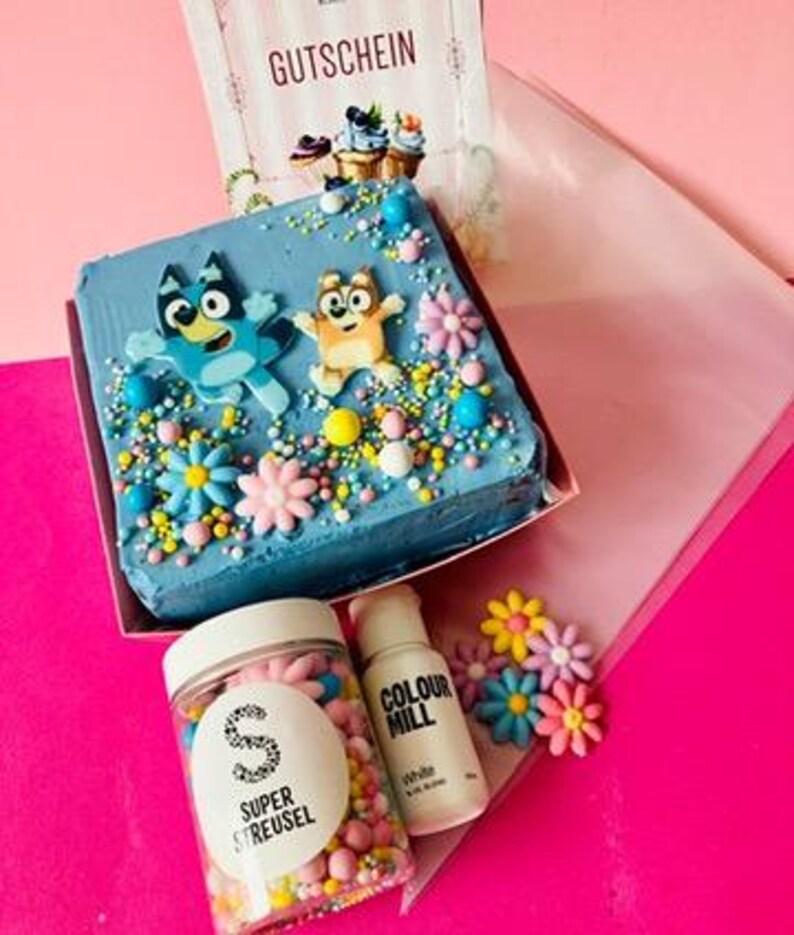 Bluey DIY Bento Cake Box - Etsy