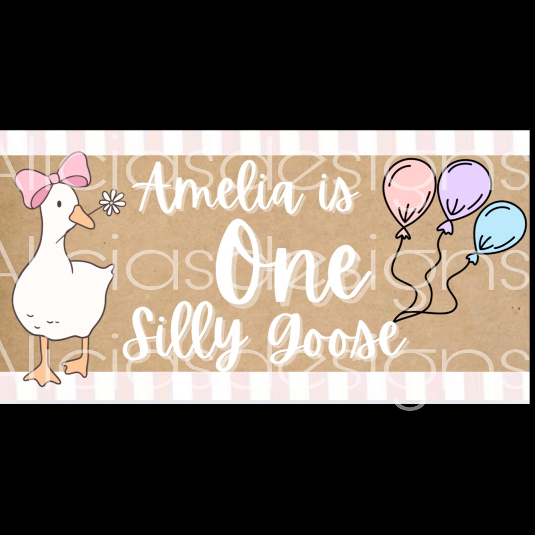 One Silly Goose Birthday Banner - Etsy