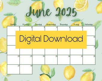 June Calendar 2024, Boho, Digital Download, Printable, Aesthetic, PDF ...
