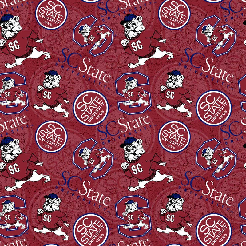 South Carolina Pillow - Etsy