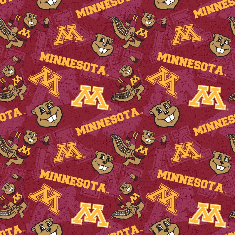 University of Minnesota - Etsy