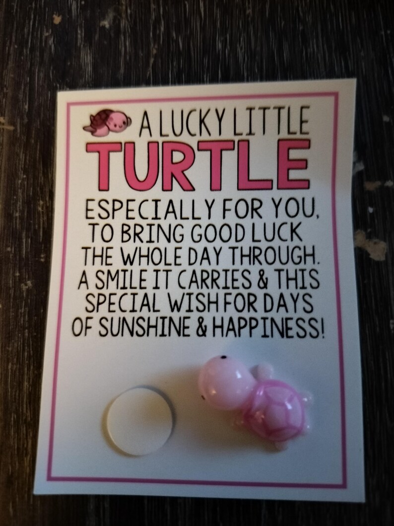 Good Luck Turtle - Etsy